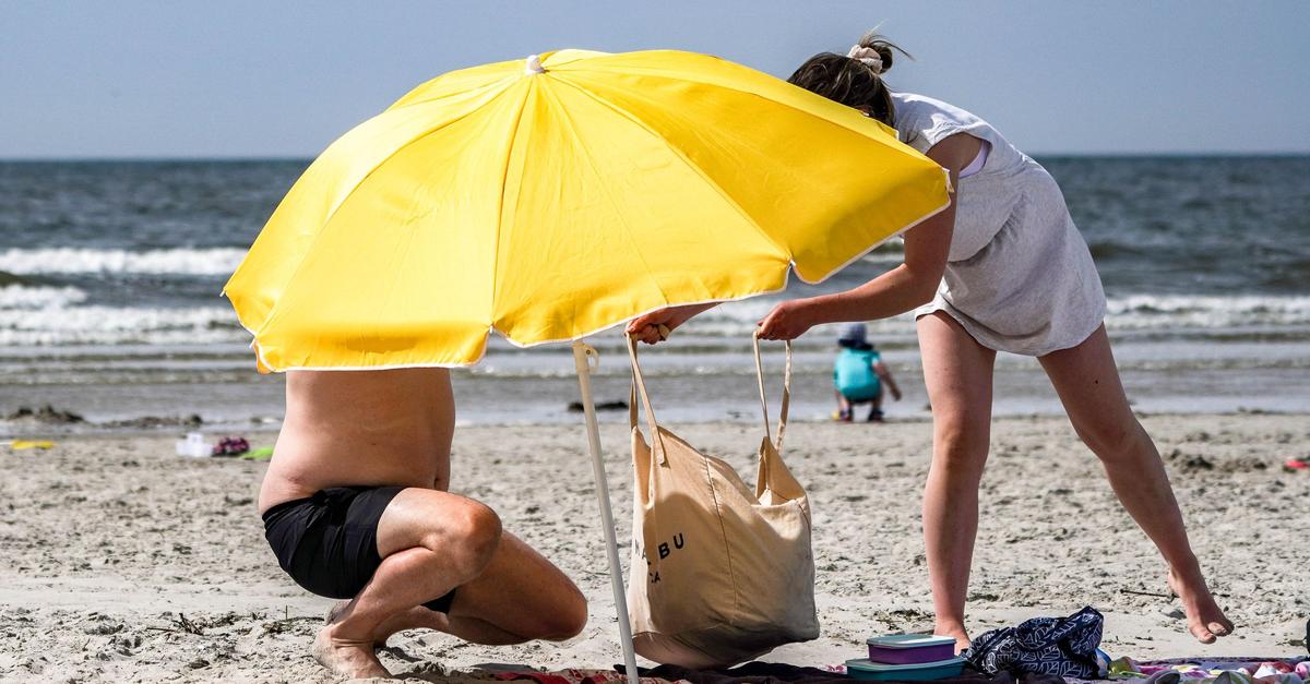 Wormel: Reiseträume